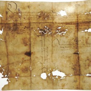 Parchment – | UNICA